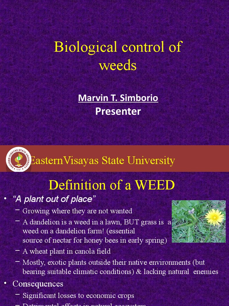 38.205 Biological Control of Weeds | PDF | Biological Pest Control | Weed