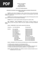 Brgy Organizational Structure & Bbis | PDF | Social Institutions ...