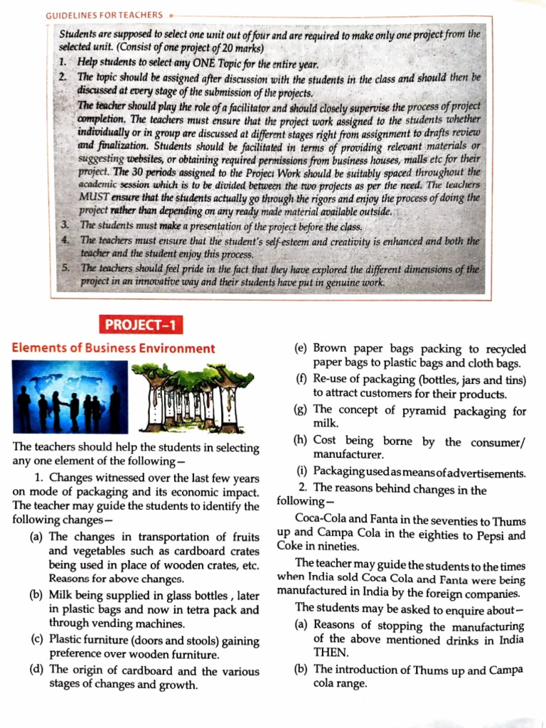 BST Project Grade 12 | PDF | Coca Cola | Stocks