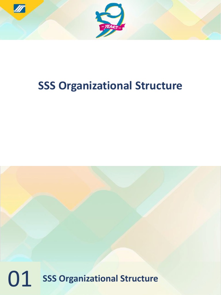 SSS Organizational Structure | PDF | Internal Audit | Health Care
