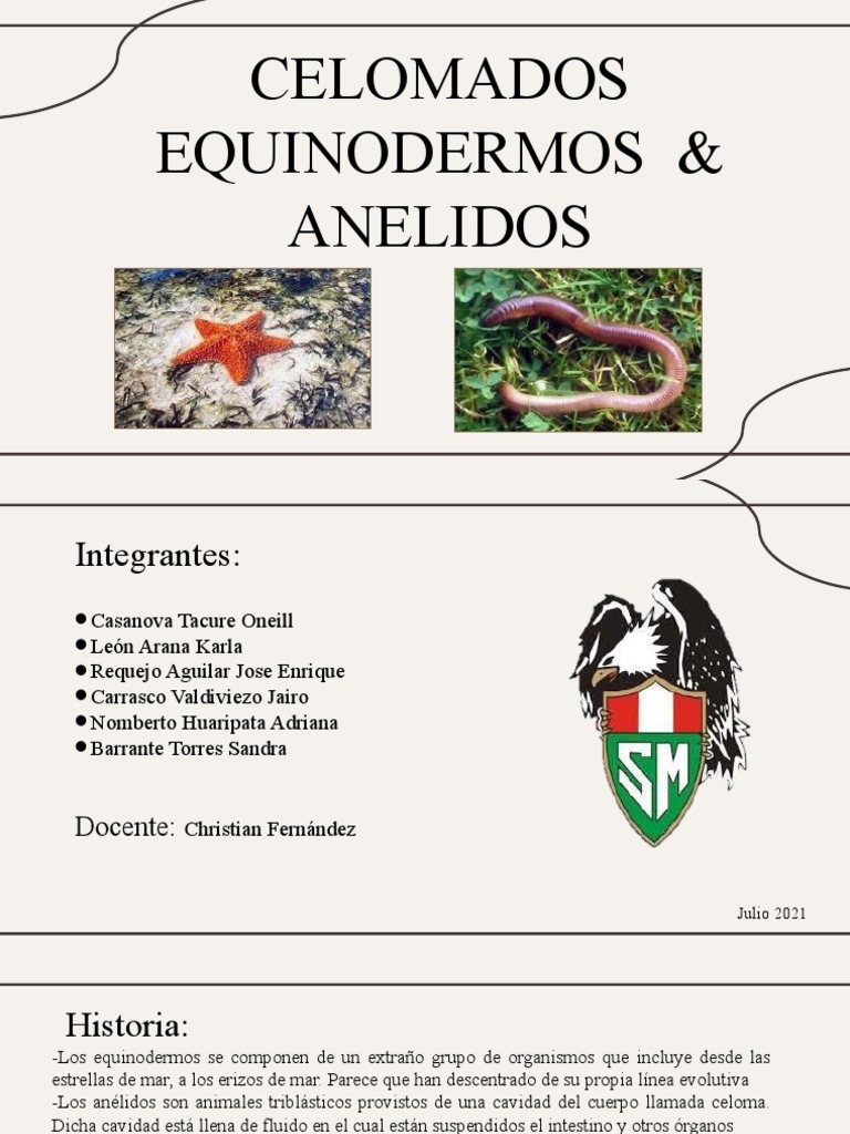 Celomados Equinodermos & Anelidos. | PDF | Zoología | Anatomía