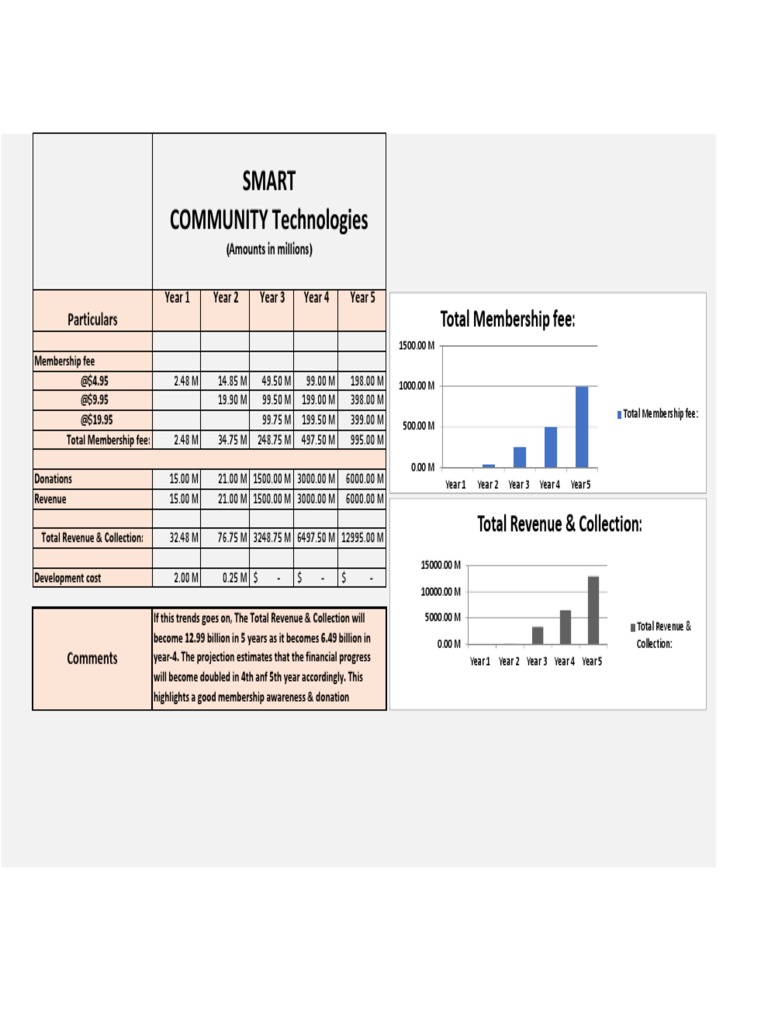 Proforma For Executive Summary | PDF | Economies | Business