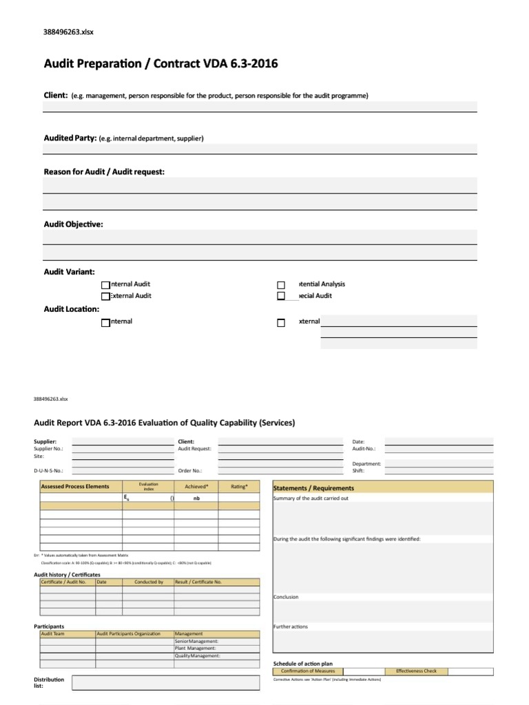 Qdoc - Tips Excel Tool Process Audit Services Vda 63 2016 en V | PDF