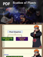 Grade 6 - Classification of Plants | PDF