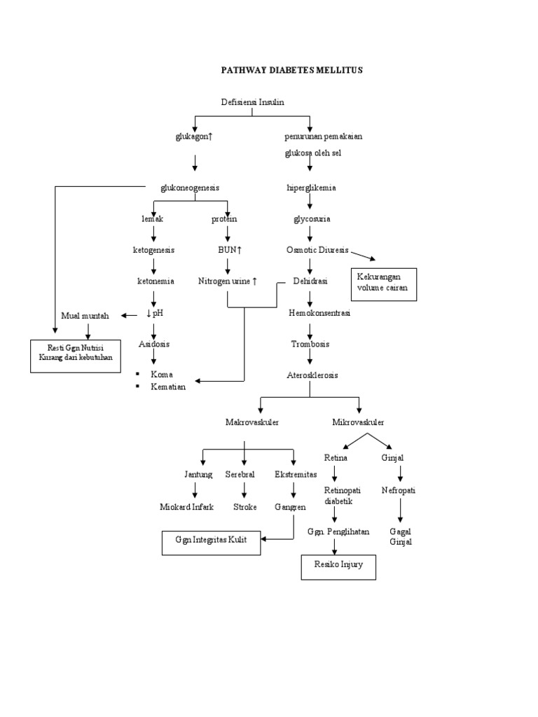 Pathway Diabetes Mellitus | PDF