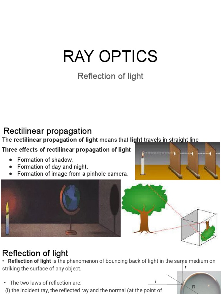 Ray Optics: Reflection of Light | PDF | Reflection (Physics) | Mirror