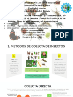 Creación y Función de un Insectario | PDF | Insectos | Ecosistema