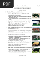 ARBA Official Breed ID Guide Rabbit Breed Showroom Variety Four or Six ...