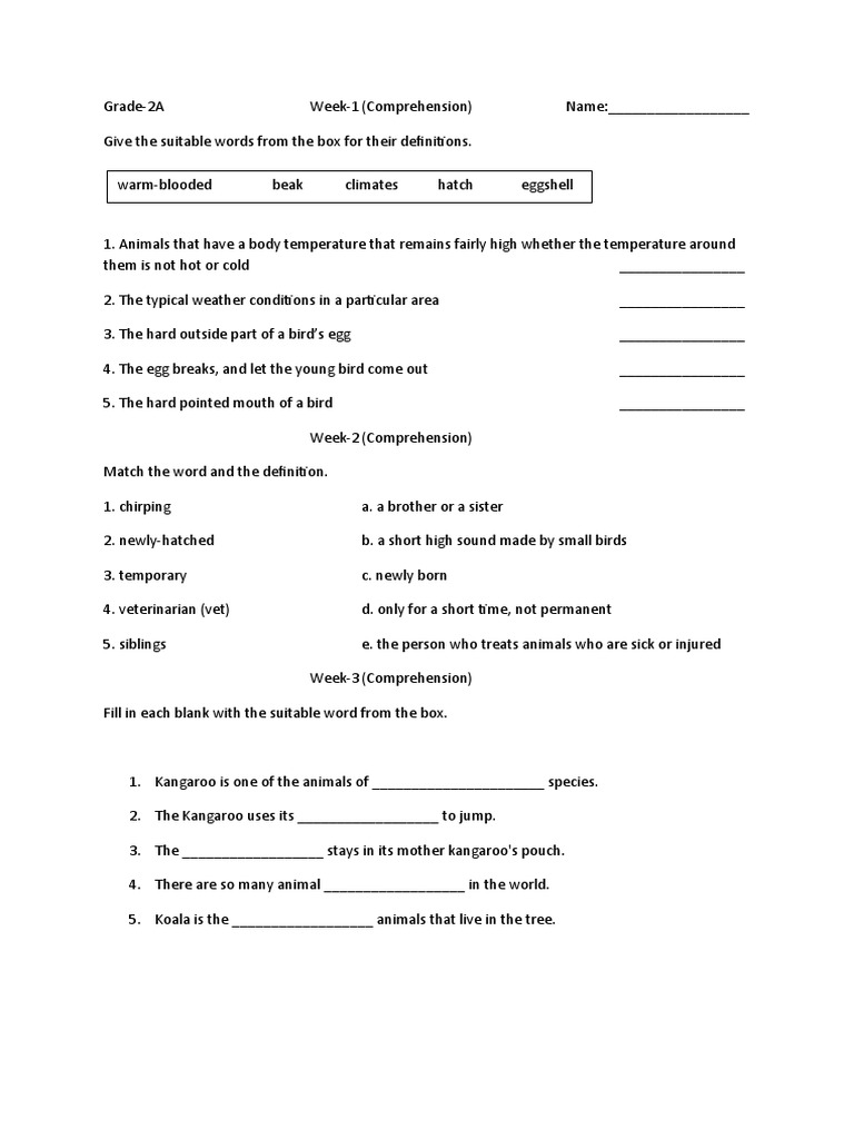 Grade 2 Vocabulary Worksheet | PDF | Language Arts & Discipline ...