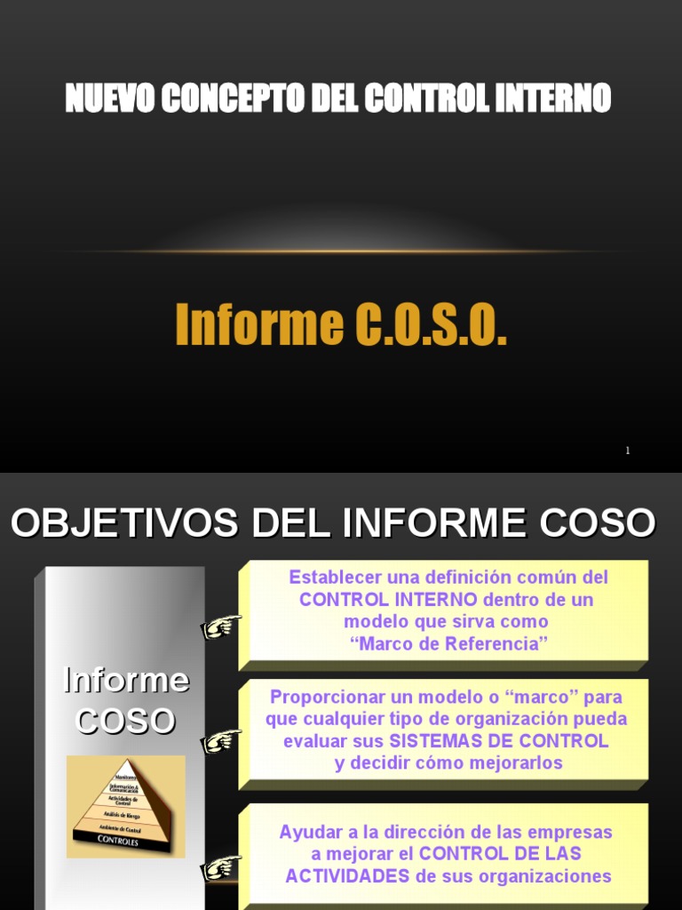 Informe Coso | PDF | Probabilidad | Información