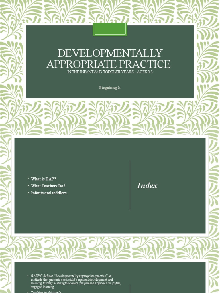 Developmentally Appropriate Practice | PDF | Infants | Learning