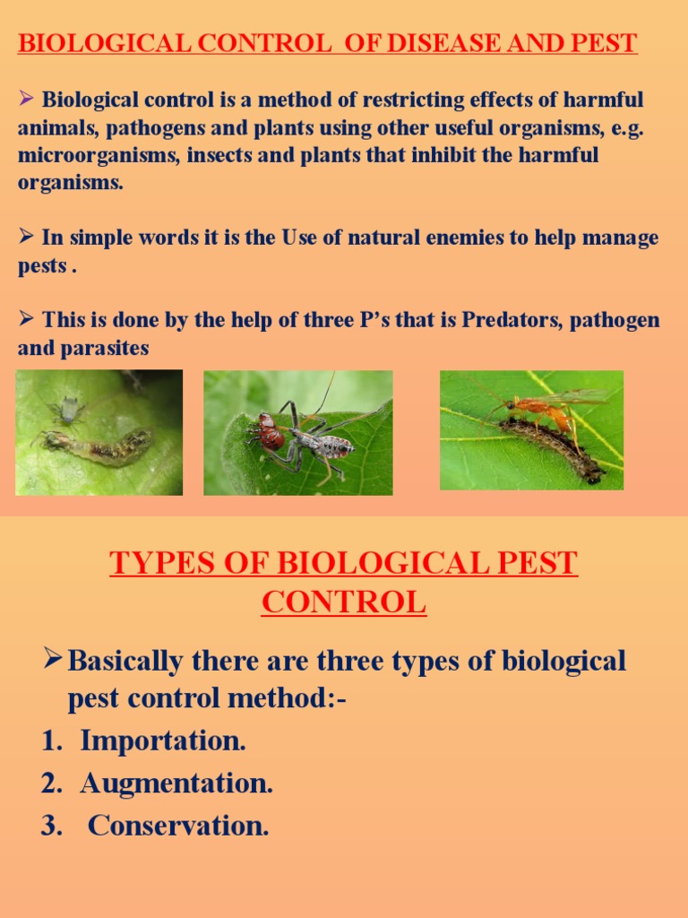 Biologocal Control | PDF | Biological Pest Control | Pest (Organism)