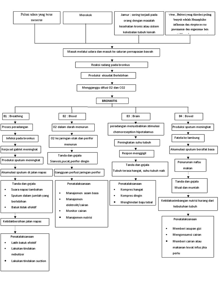 Pathway Bronkitis | PDF