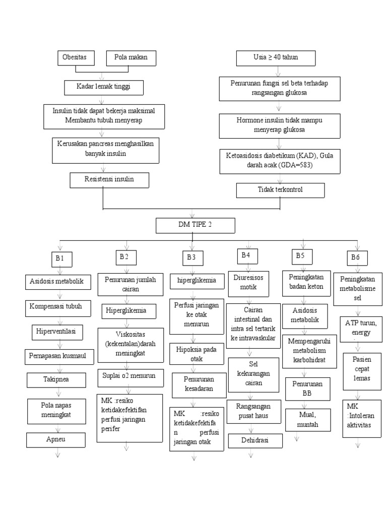 Pathway DM TIPE 2 Elsy | PDF