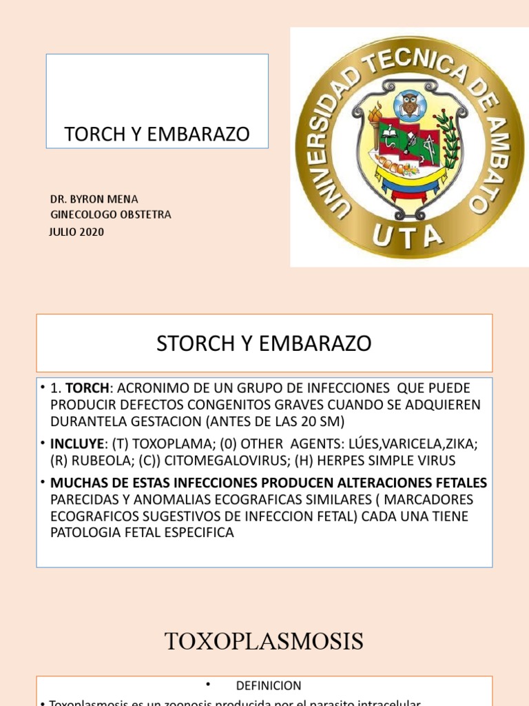 Infecciones TORCH y Embarazo | PDF | Virus | Sarampión