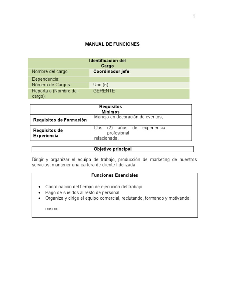 Manual de Funciones y Procedimientos | PDF