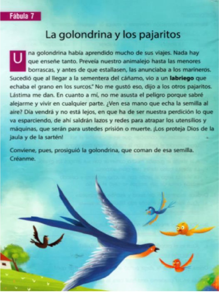 14° Plan Lector La Golondrina y Los Pajaritos | PDF