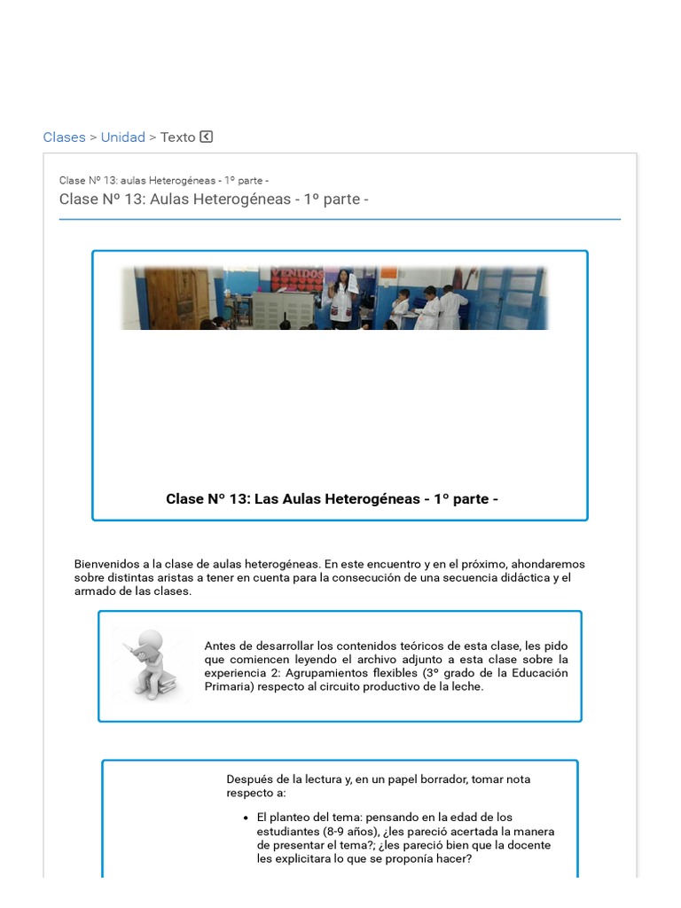 Aulas Heterogeneas | PDF | Aprendizaje | Plan de estudios