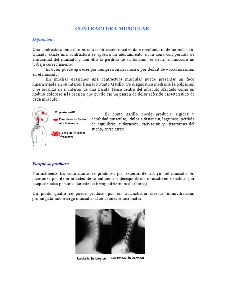 Contractura Muscular: Causas y Tratamiento | PDF | Músculo | Medicina