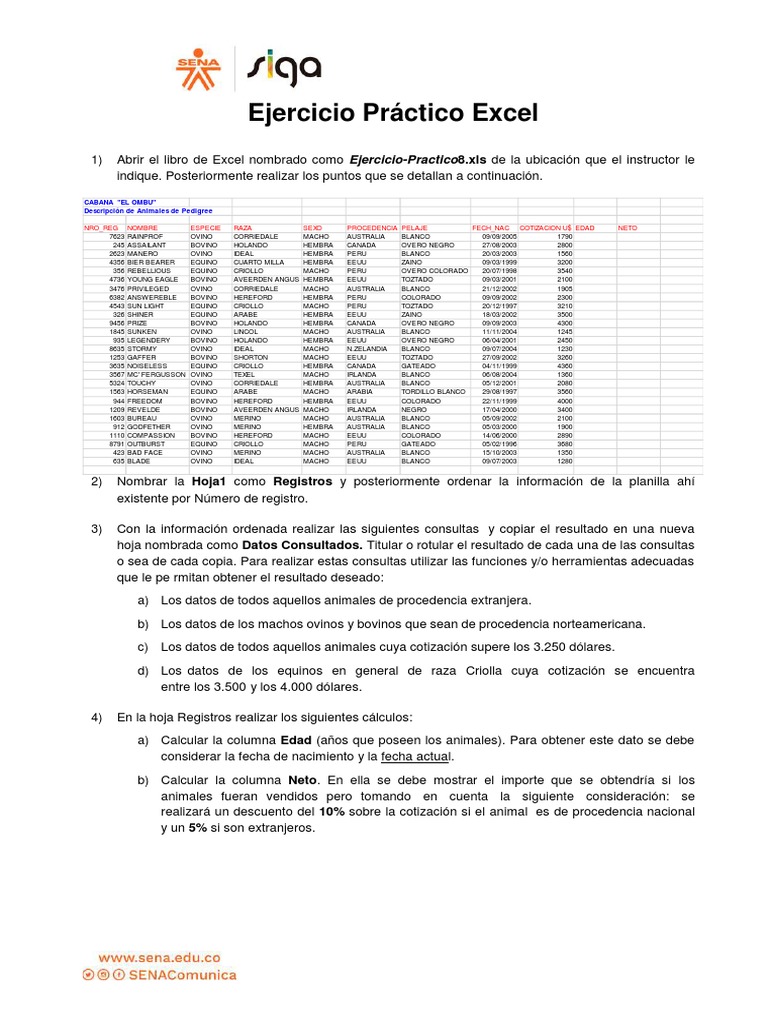 Ej Practico 8 Excel | PDF | Ganado | Almacenamiento de datos de la computadora