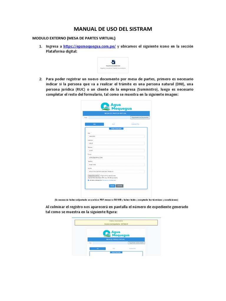 Manual de Uso Del Sistram | PDF | Usuario (informática) | Desarrollo de ...