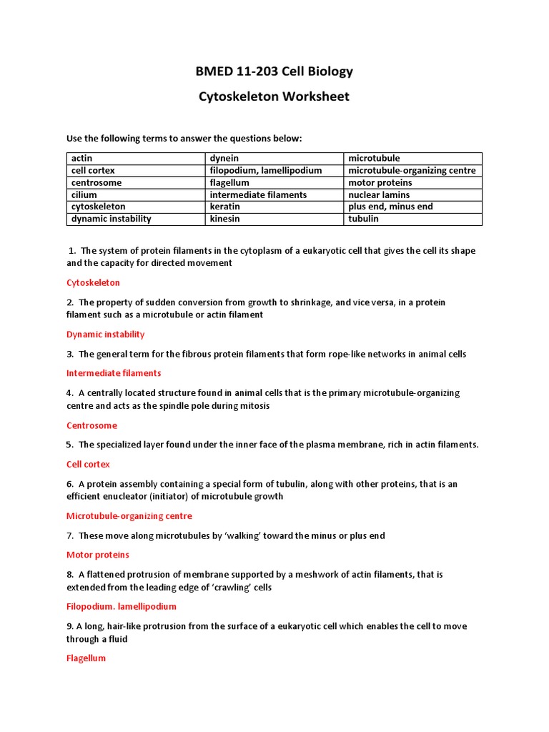 Cytoskeleton Explanation With Question and Answers | PDF | Science ...