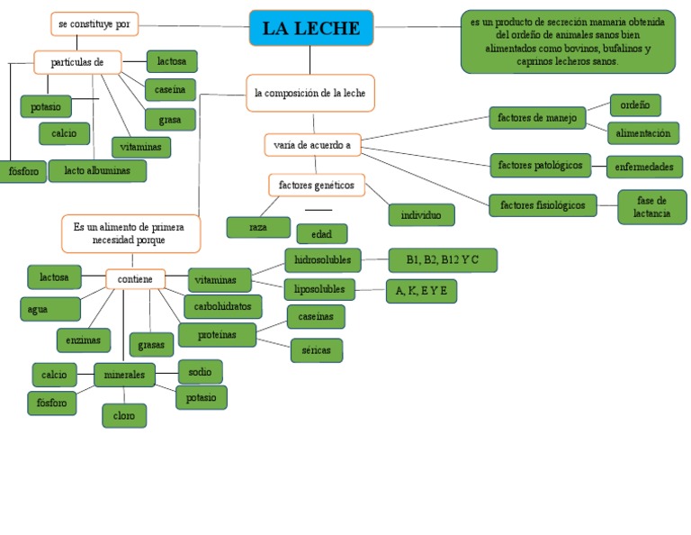 Mapa Conceptual | PDF | Productos naturales | Leche