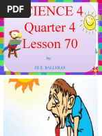 Grade 4 Lesson Plan: The Sun's Importance | PDF | Sun | Lesson Plan