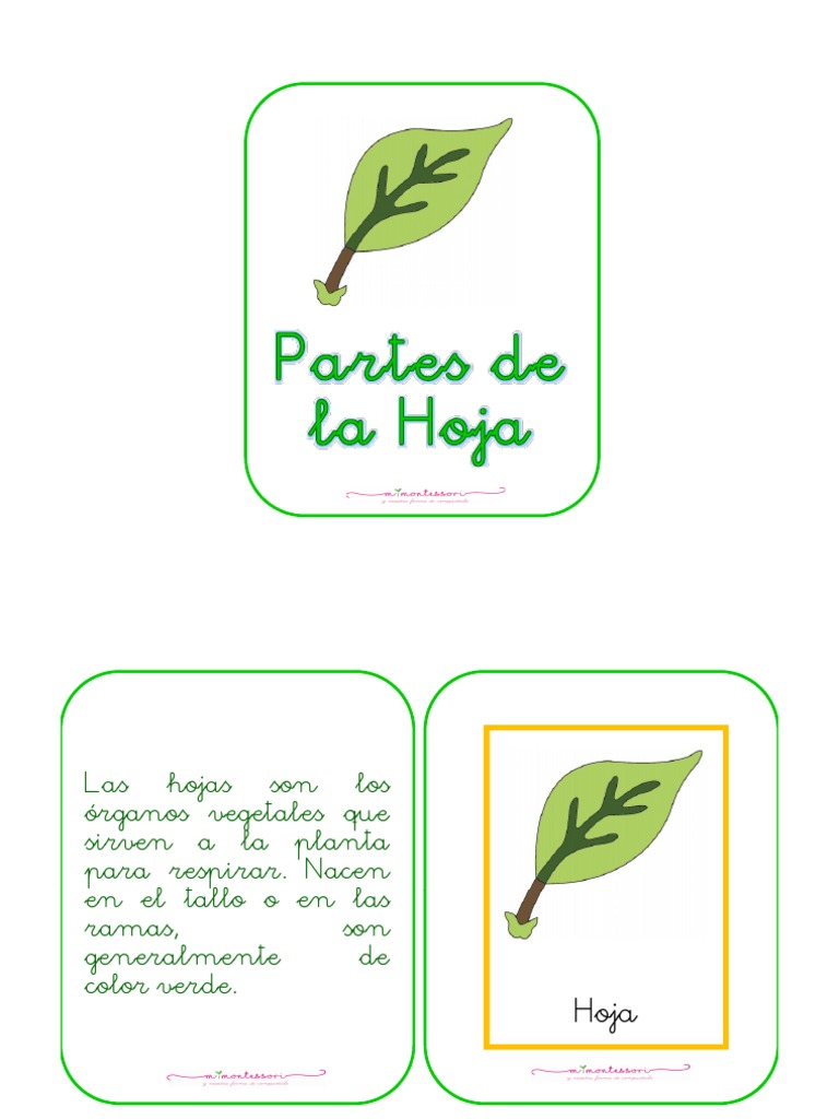 Partes de La Hoja Librito para Taller | PDF | Ciencia y matemáticas