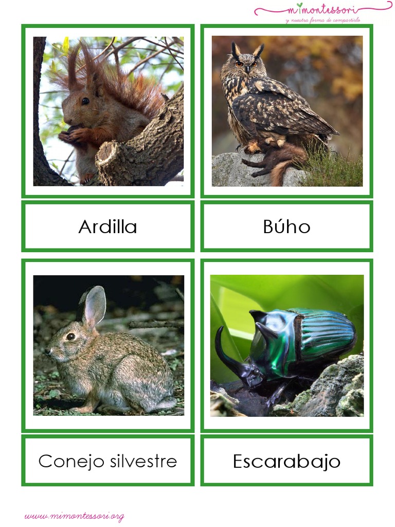 Tarjetas Animales Del Bosque Letra Imprenta | PDF