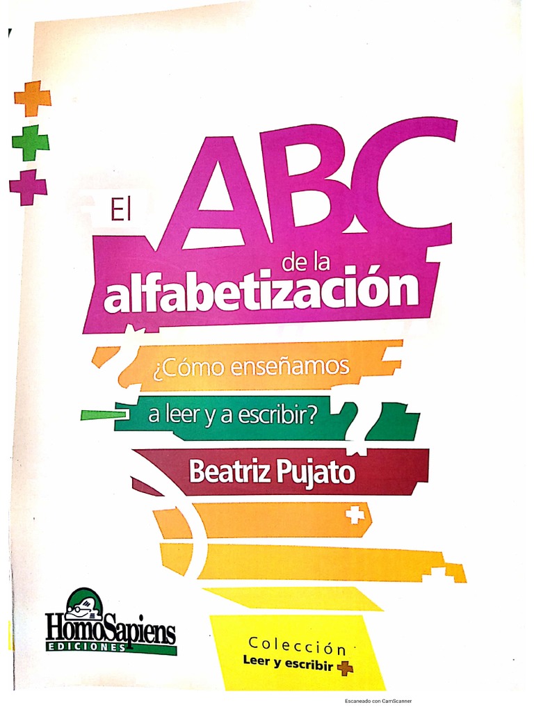 Conocimientos Proceso Alfabetizador Pujato | PDF