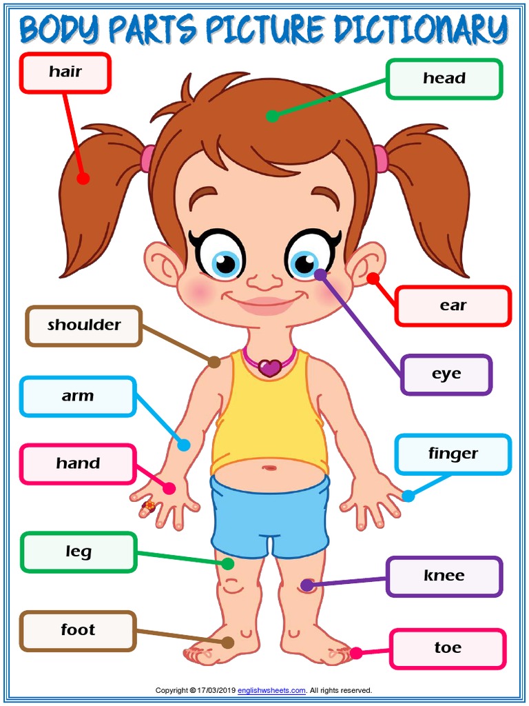 Body Parts Vocabulary Esl Picture Dictionary Worksheet For Kids | PDF