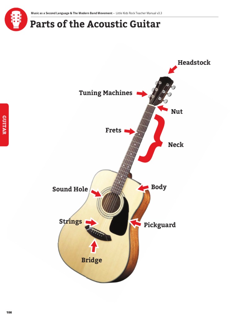 Guitar Basics and Parts Overview | PDF | Guitars | Music Production