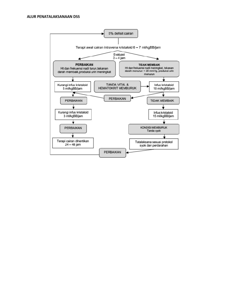 Alur Tatalaksana Dss | PDF