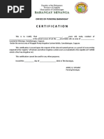 RSBSA Barangay Certificate | PDF