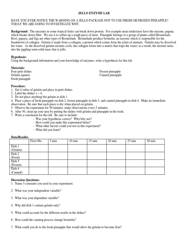 Jell-O and Pineapple Lab | PDF | Gelatin | Experiment