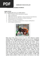 SCIENCE-5-Q2-Module 4 | PDF | Flowers | Plant Reproduction