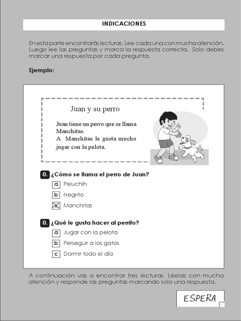 Lecturas y Preguntas de Comprensión | PDF