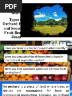 Bearing and Non Bearing Fruit Trees | PDF | Trees | Apple