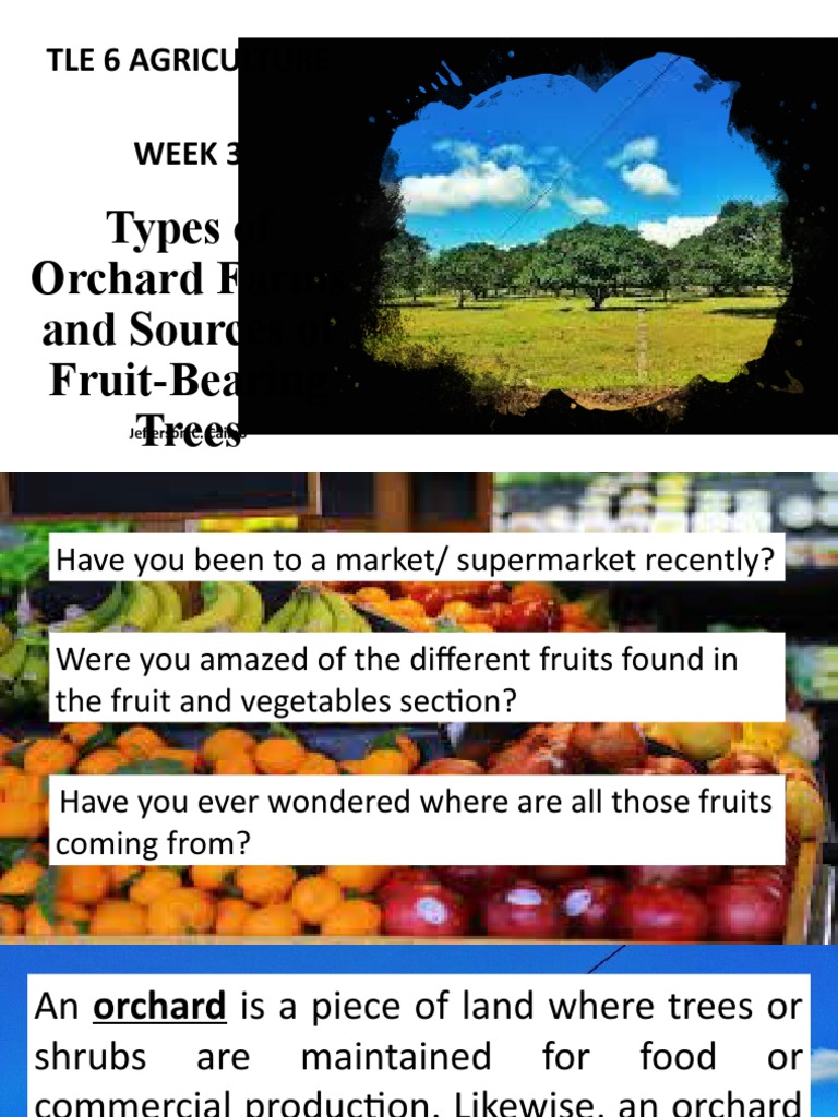 Agriculture 6 Week 3 Powerpoint Presentation | PDF | Grafting | Orchard