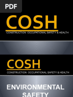 OSH Situationer: International and Philippine Data | PDF | Occupational ...