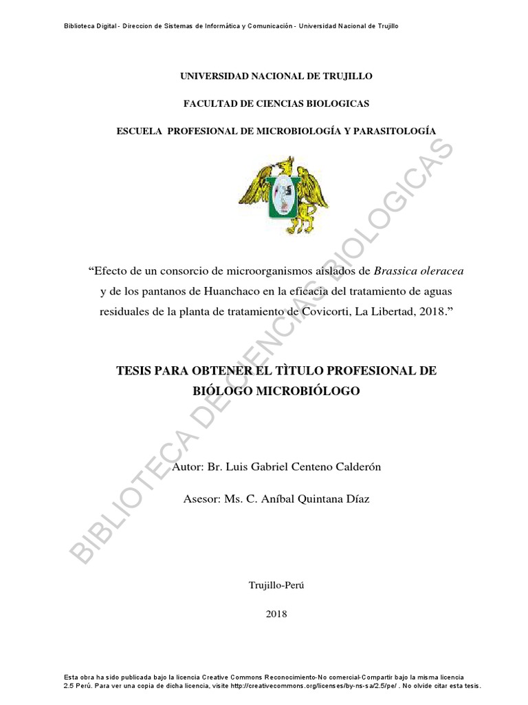 Centeno Calderón, Luis Gabriel | PDF | Agua | Residuos