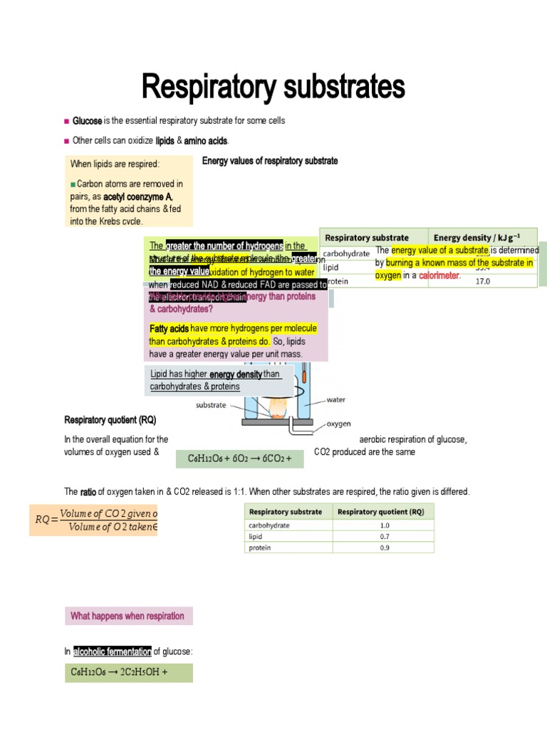Understanding Respiratory Substrates: A Comprehensive Look at Energy ...