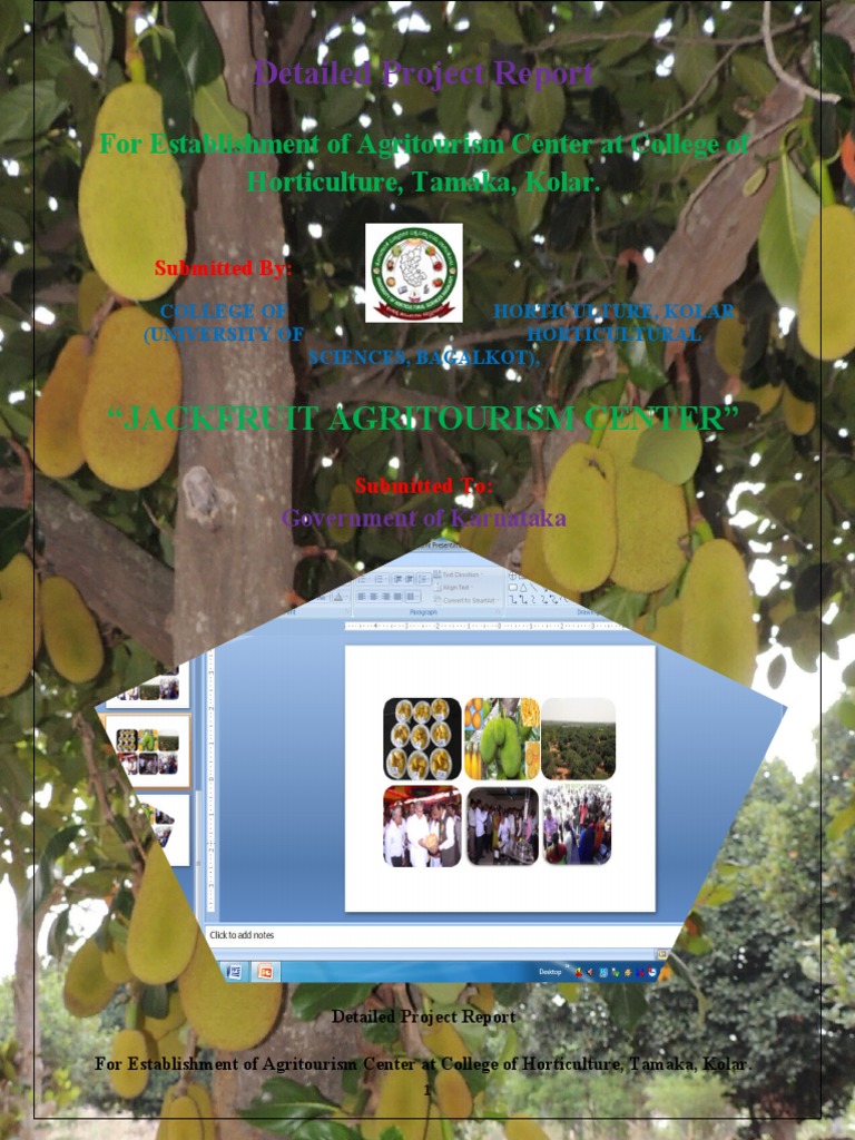 Jackfruit Agri-Tourism Project Proposal | PDF | Agriculture | Livestock ...