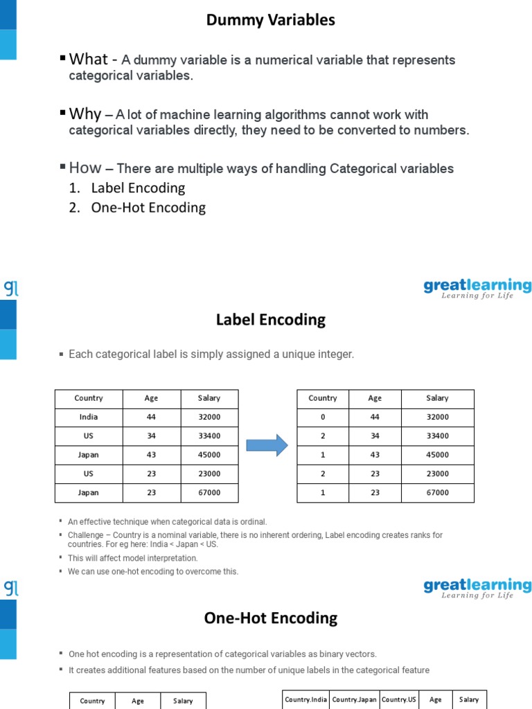 What - Why: Dummy Variables | PDF | Categorical Variable | Computer Science