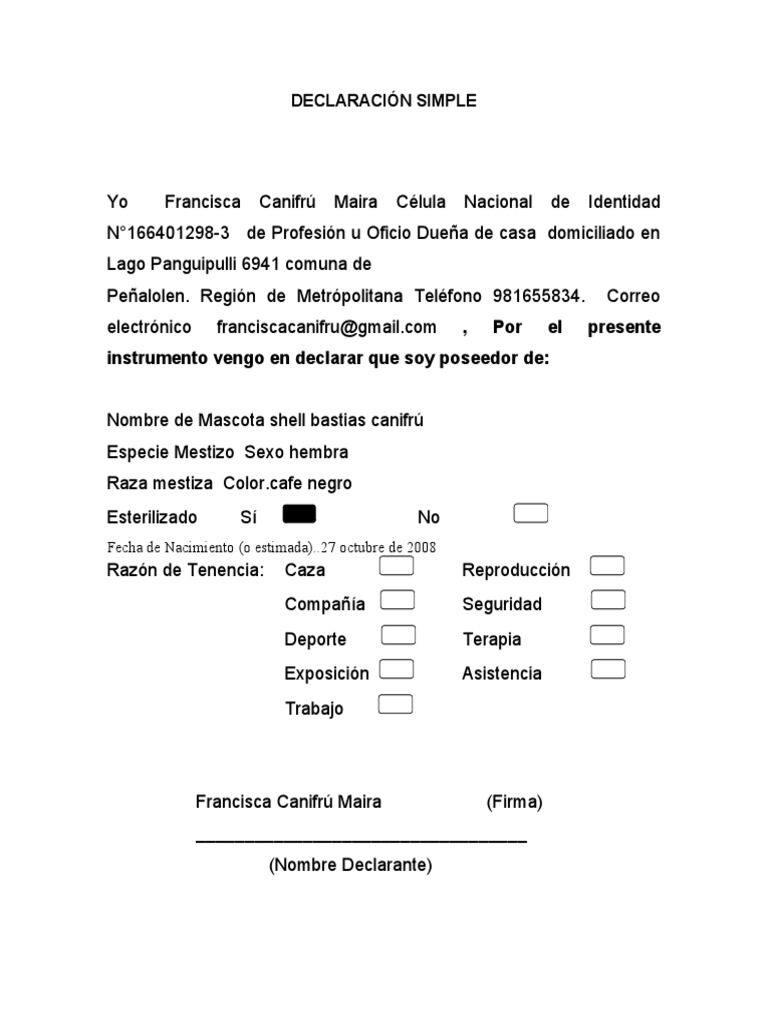 Declaracion Simple Poseedor-2 | PDF