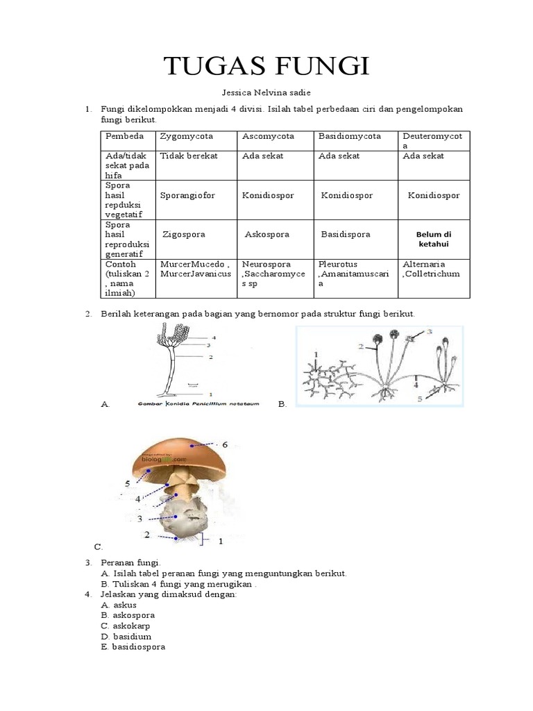Peran dan Fungsi Fungi dalam Ekosistem | PDF