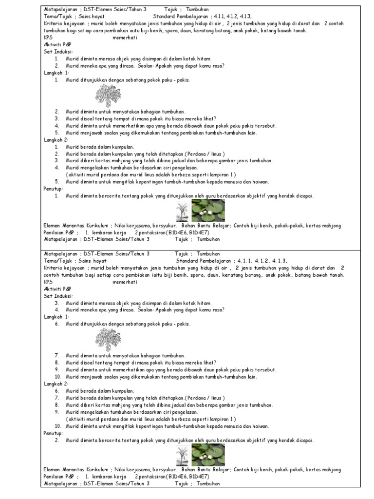 RPH DST Tumbuhan 3 2015 | PDF