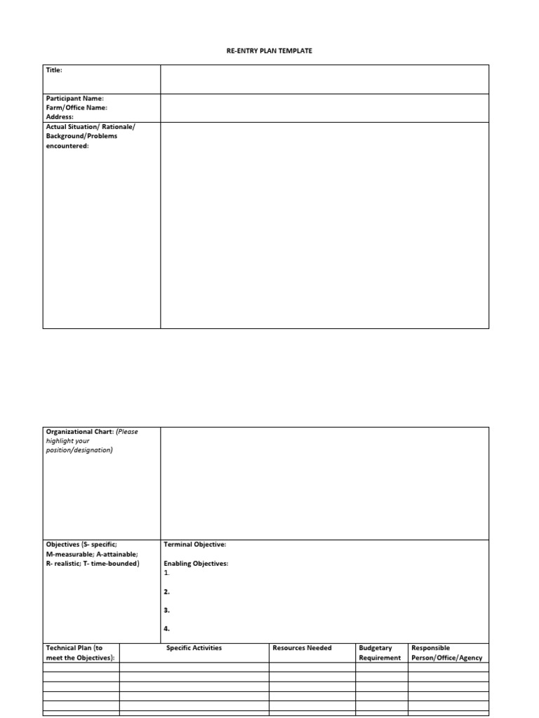 RE-Entry Plan Template | PDF
