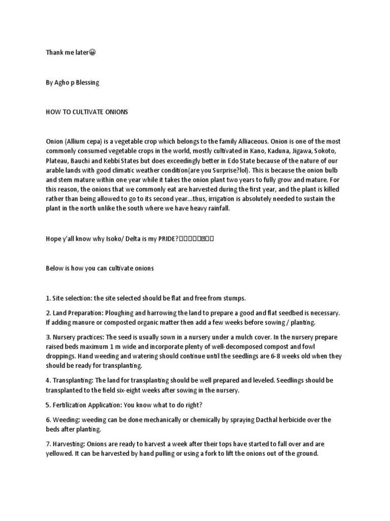 Document (1) HOW TO CULTIVATE ONIONS | PDF | Onion | Vegetables